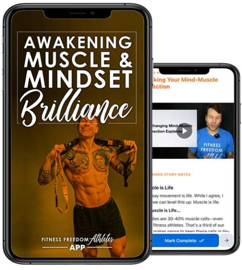 Muscle Builder Program (Intermediate)