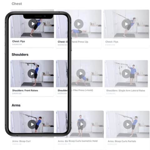 Total Body Transformation Program (Beginner)